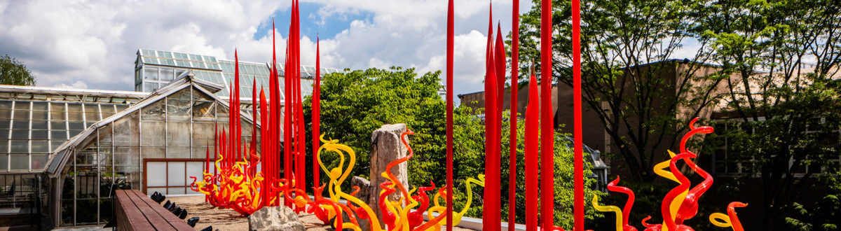 Chihuly Collection | Franklin Park Conservatory and Botanical ...