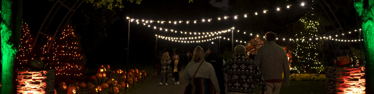 Pumpkins Aglow | Franklin Park Conservatory tickets are for sale now ...