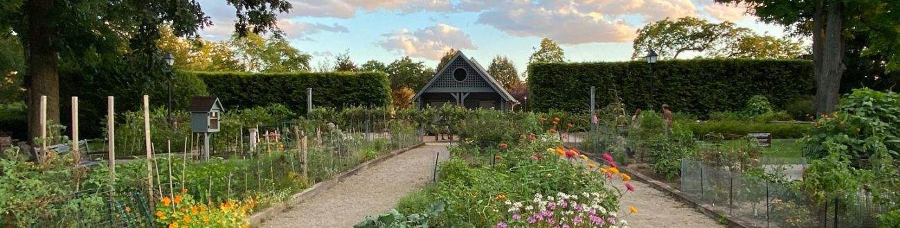 The Communal Garden: All About Root Vegetables | Franklin Park ...