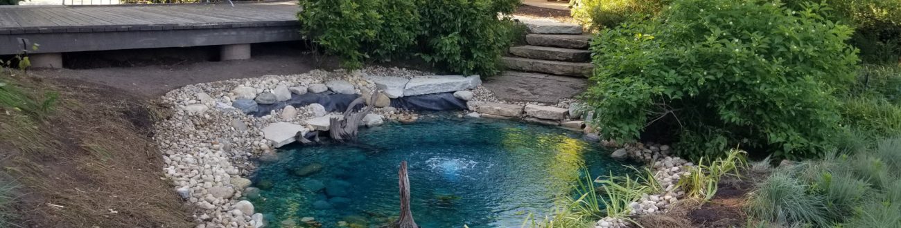 Children’s Garden Pollywog Pond Transformation Has Our Amphibian ...