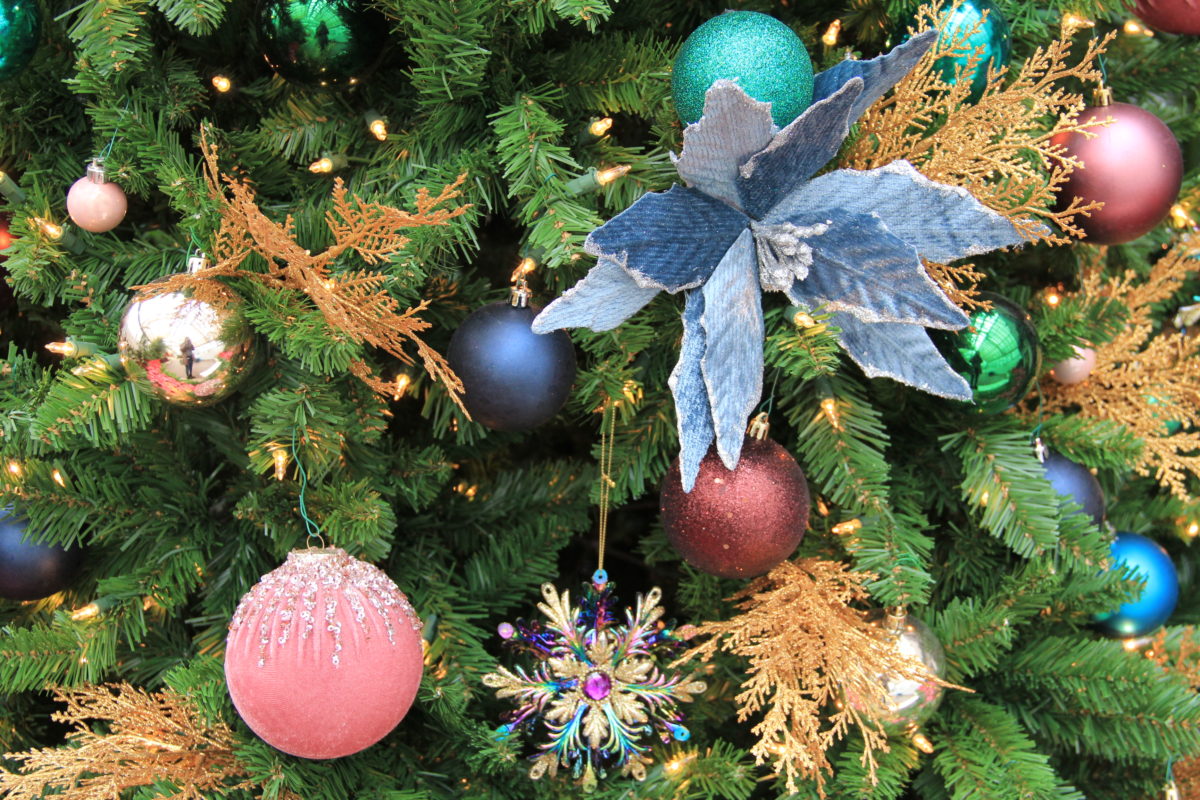 Holiday Blooms | Franklin Park Conservatory and Botanical ...