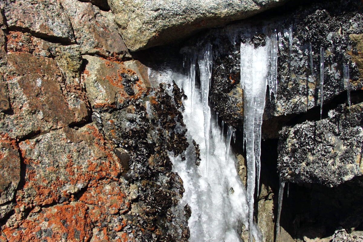Tracking Lichens on the Frozen Continent | Franklin Park Conservatory ...