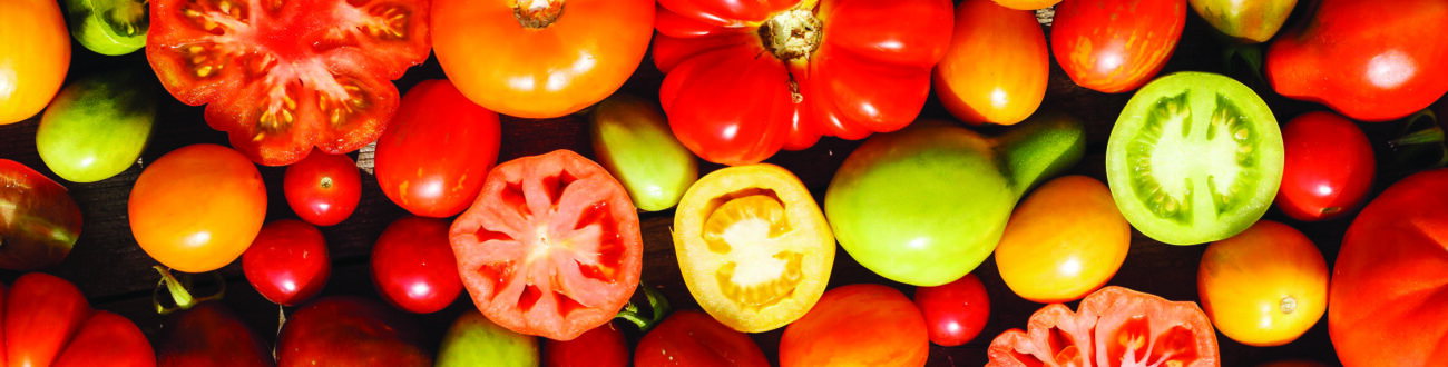 The Communal Garden: Tomato Growing | Franklin Park Conservatory and ...