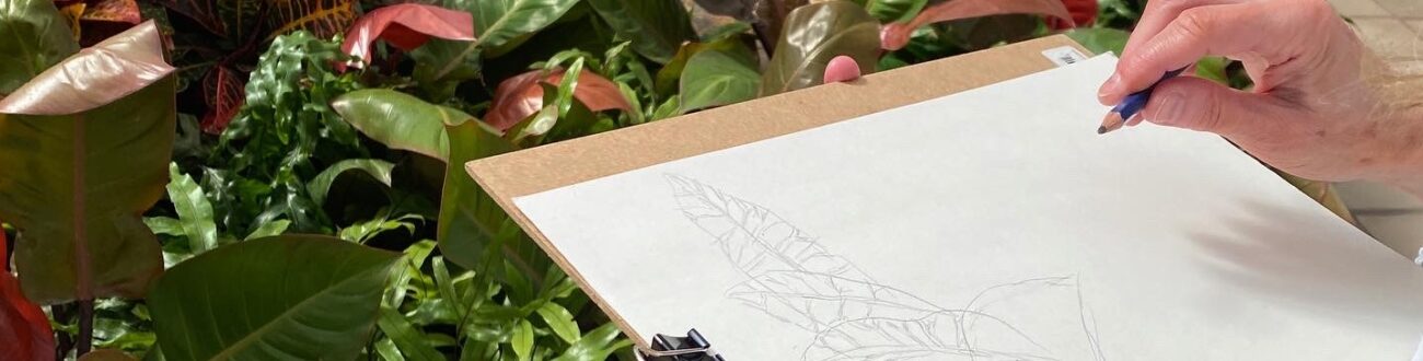 Drawing in the Biomes | Franklin Park Conservatory and Botanical ...