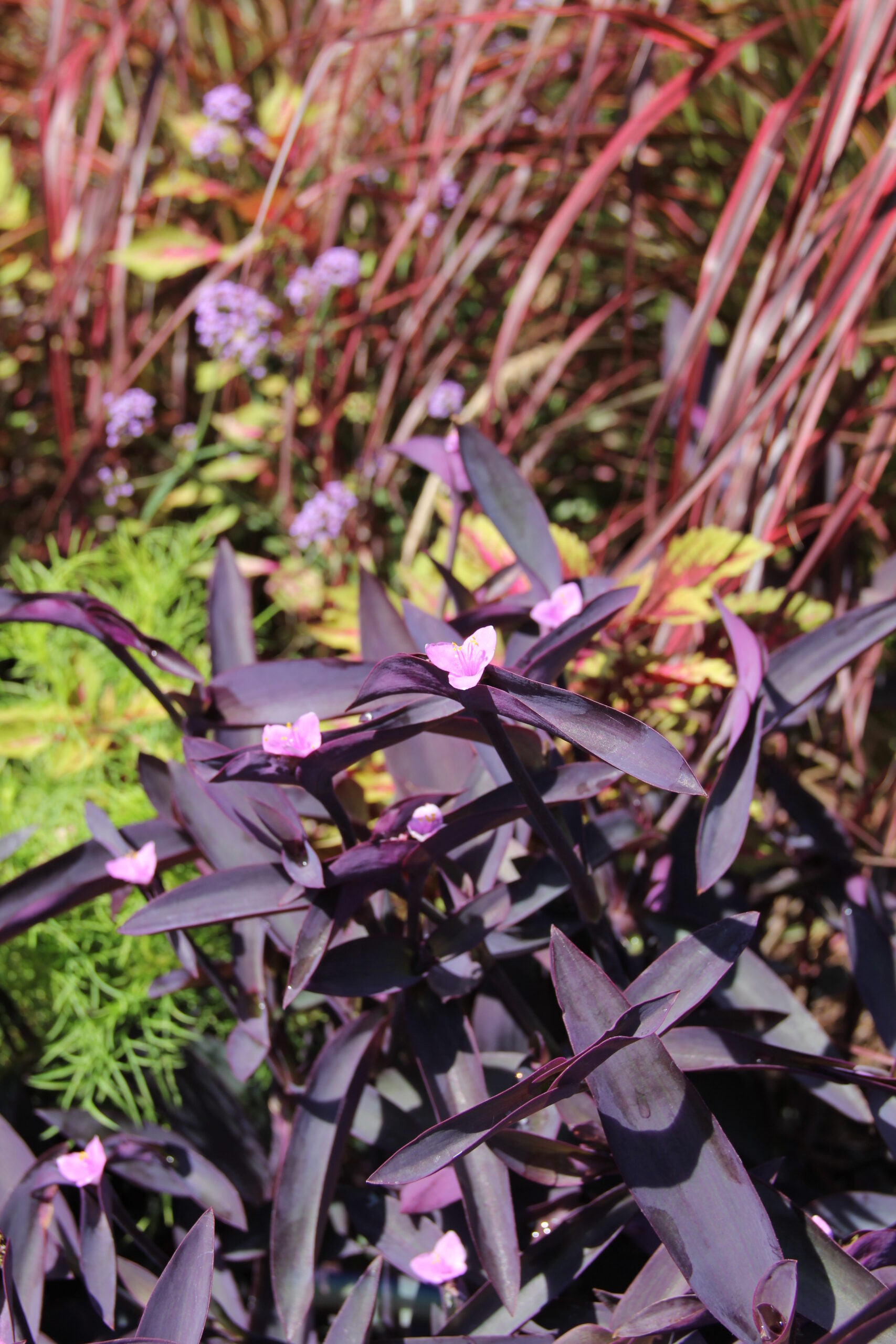 Gardens & Collections | Franklin Park Conservatory and Botanical ...