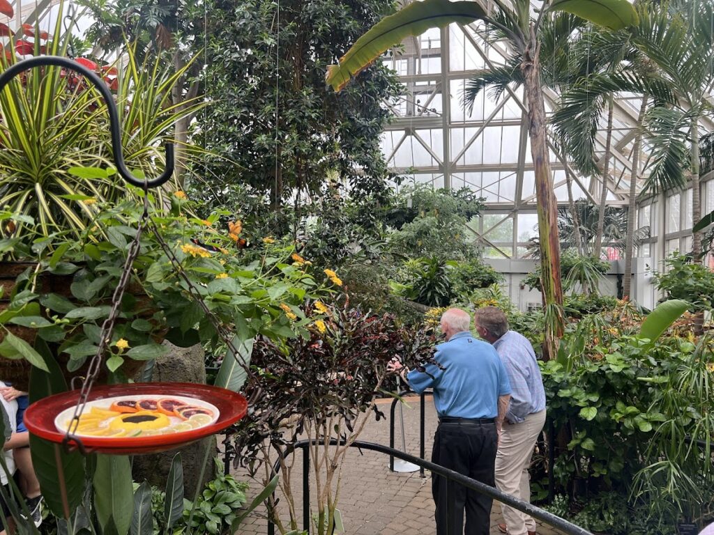 Honoring Nancy Cullman through Blooms & Butterflies | Franklin Park ...