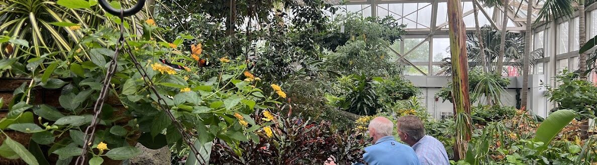 Honoring Nancy Cullman through Blooms & Butterflies | Franklin Park ...