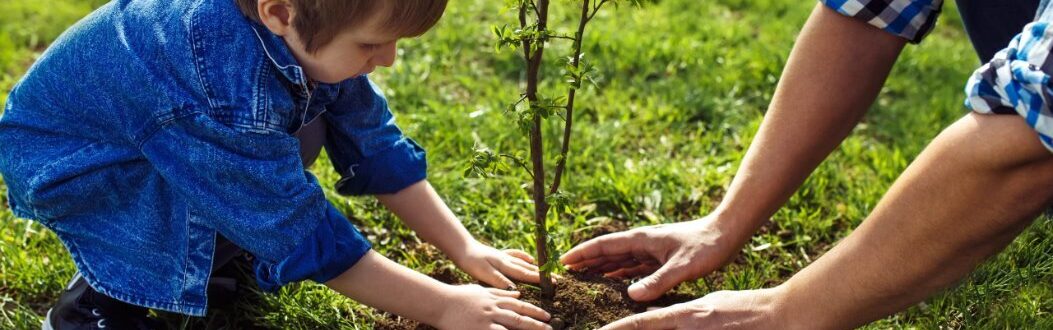 Earth Day Free Tree Giveaway | Franklin Park Conservatory and Botanical ...